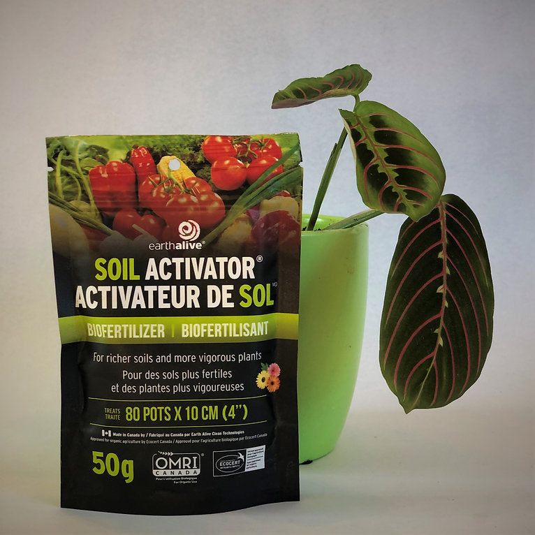 Organic Earth Alive Soil Activator – Ground FX Landworks Inc.